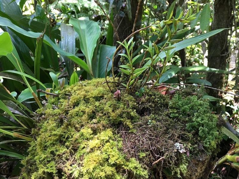 Drink plenty of filtered alkaline water