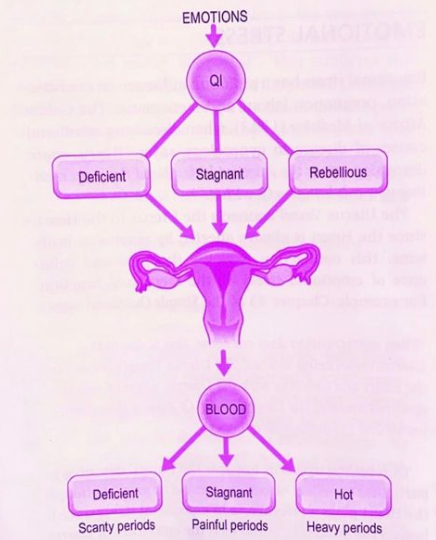 Emotional Stress has a significant influence on menstruation