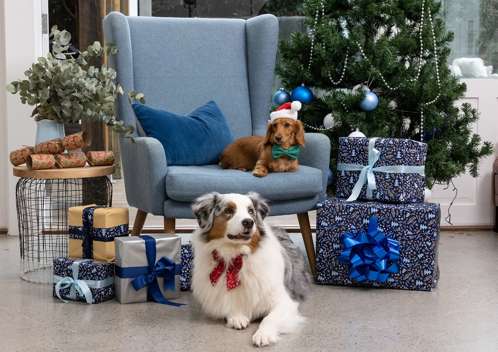 Petspiration valued at $1.7 billion after Woolies investment