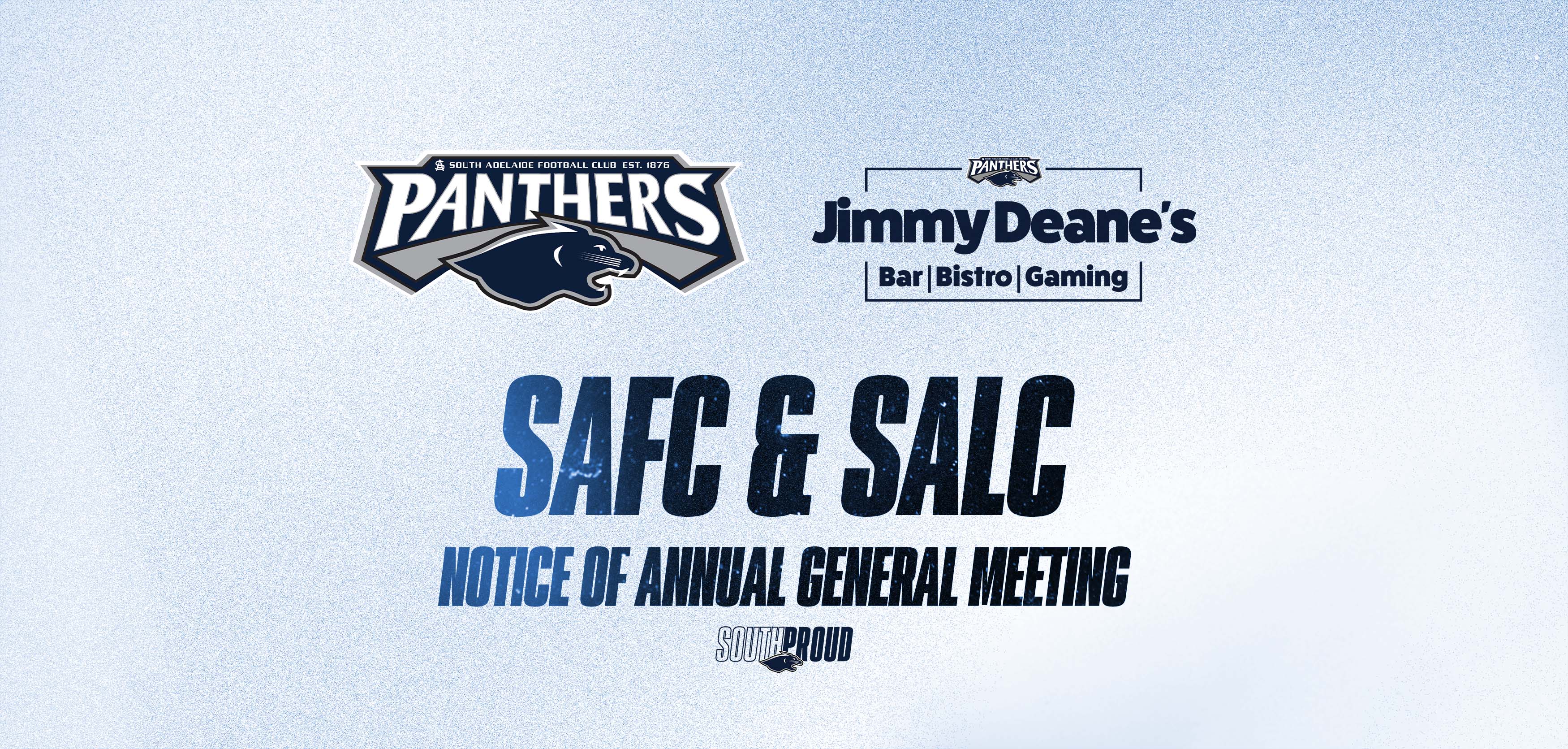 safc.com.au | 2022 AGM