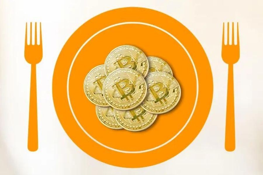 You Need to Know About Forks, Hard Forks, and Soft Forks