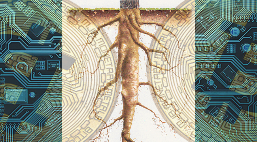 A Technical Analysis of Bitcoin Taproot Upgrade