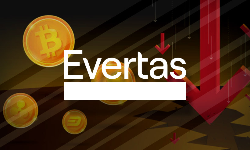 Crypto Insurance Firm Evertas Raised $14M to Combat Bear Market