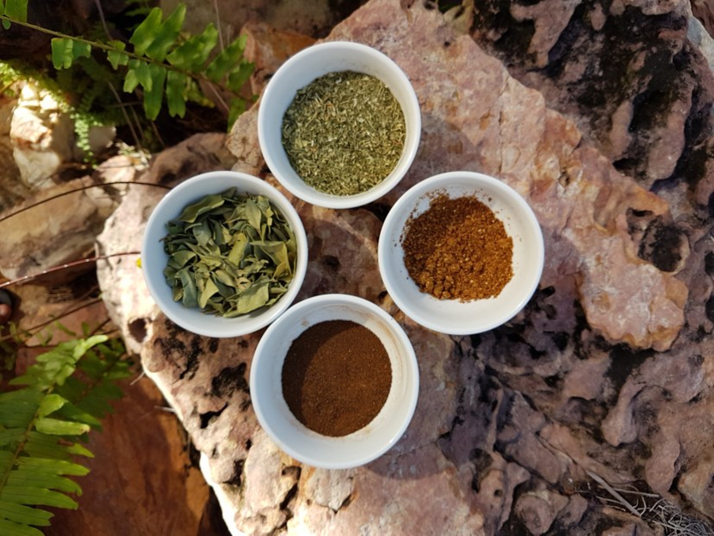 Kakadu to stage first-ever Indigenous food festival - hospitality ...