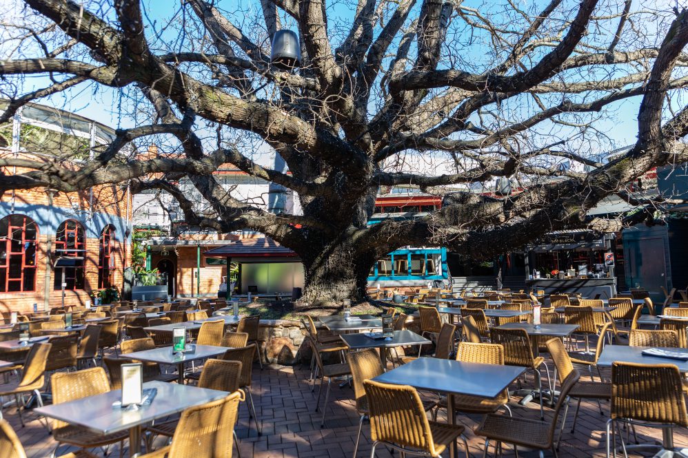 The Oaks gets $6 million revamp - hospitality | Magazine