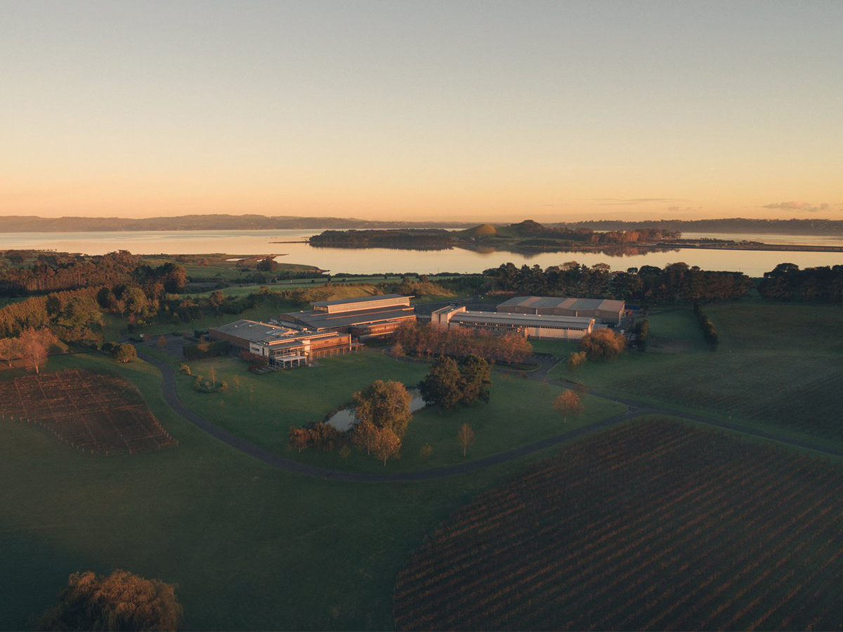 Buyer found for wine giant Villa Maria - The Shout Magazine (New Zealand)