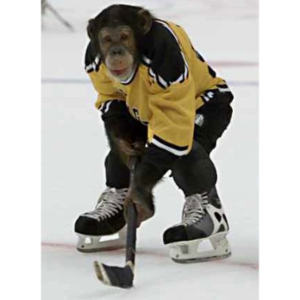 Bendigo Blaze Inline Hockey Club - 2023/24 Home League Division 2 ...