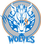 MaxArena - Maximum Inline Hockey - XLeague XL - Div 3 Season 7 Wolves Div 3