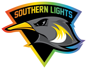 IceHQ Beer League - Beer League C2 Summer 23/24 Southern Lights