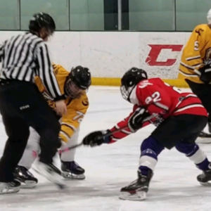 IceHQ Beer League - Beer League C2 Summer 23/24 Jetspeed Jokers