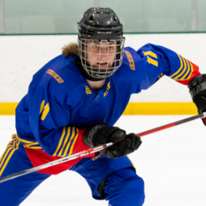 IceHQ Beer League - Ice Cold Beer, Ice Cold Hockey