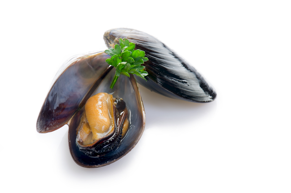 Mussels "Spring Bay Tasmania" Delivered | YourGrocer