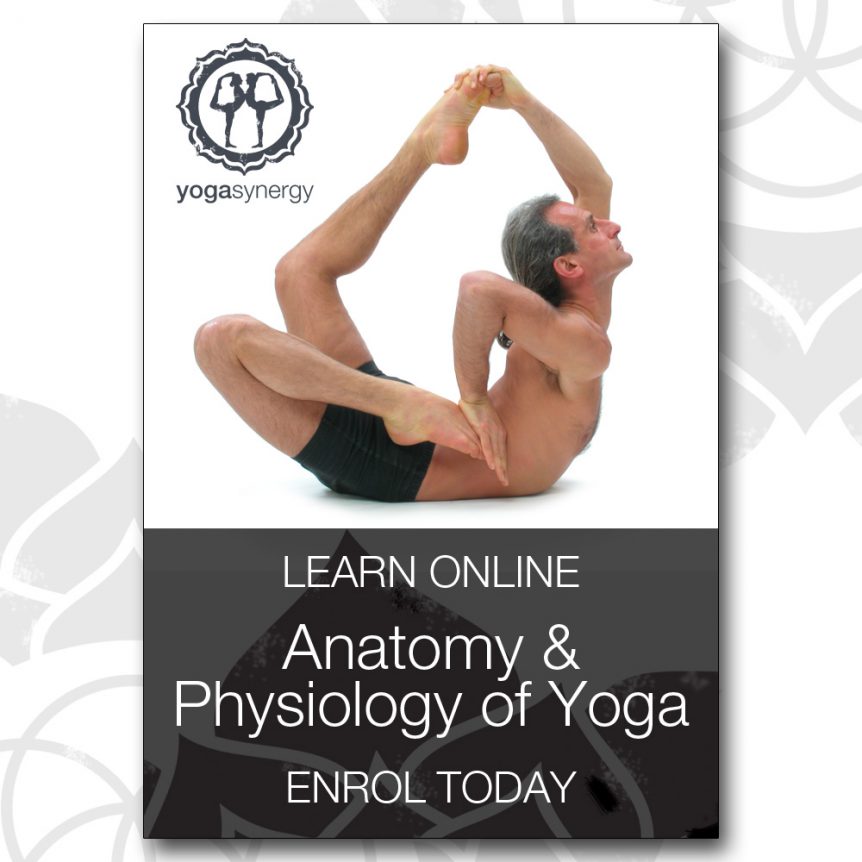Anatomy and Physiology of Yoga Online Course - Yoga Synergy